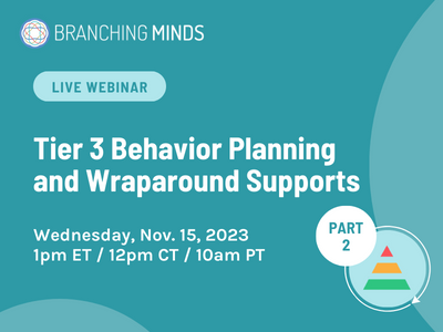 Tier 3 Behavior Planning and Wraparound Supports - PART 2